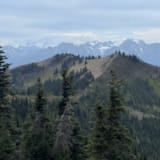 Klahhane Ridge Trail to Lake Angeles, Washington - 263 Reviews, Map ...