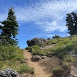Klahhane Ridge Trail to Lake Angeles, Washington - 265 Reviews, Map ...
