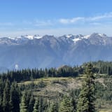 Klahhane Ridge Trail to Lake Angeles, Washington - 265 Reviews, Map ...