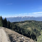 Klahhane Ridge Trail to Lake Angeles, Washington - 270 Reviews, Map ...