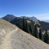 Klahhane Ridge Trail to Lake Angeles, Washington - 270 Reviews, Map ...