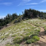 Klahhane Ridge Trail to Lake Angeles, Washington - 270 Reviews, Map ...