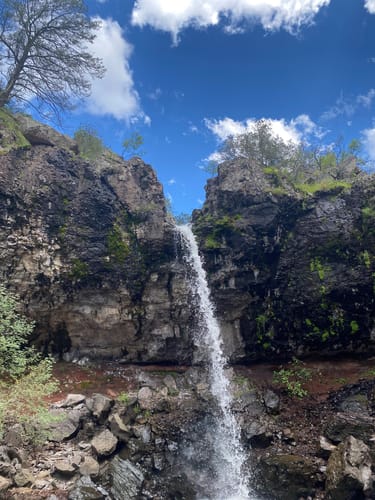 2023 Best 10 Trails in Parque Nacional Cumbres de Majalca | AllTrails
