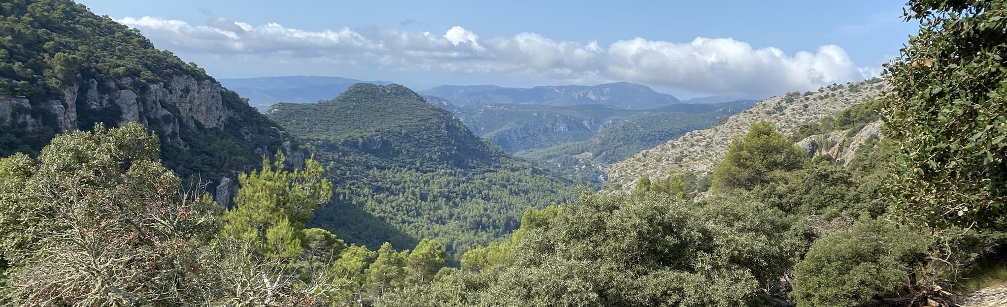 Valldemossa - GR®221 Camí de Sa Talaia Vella: 91 Reviews, Map - Majorca ...