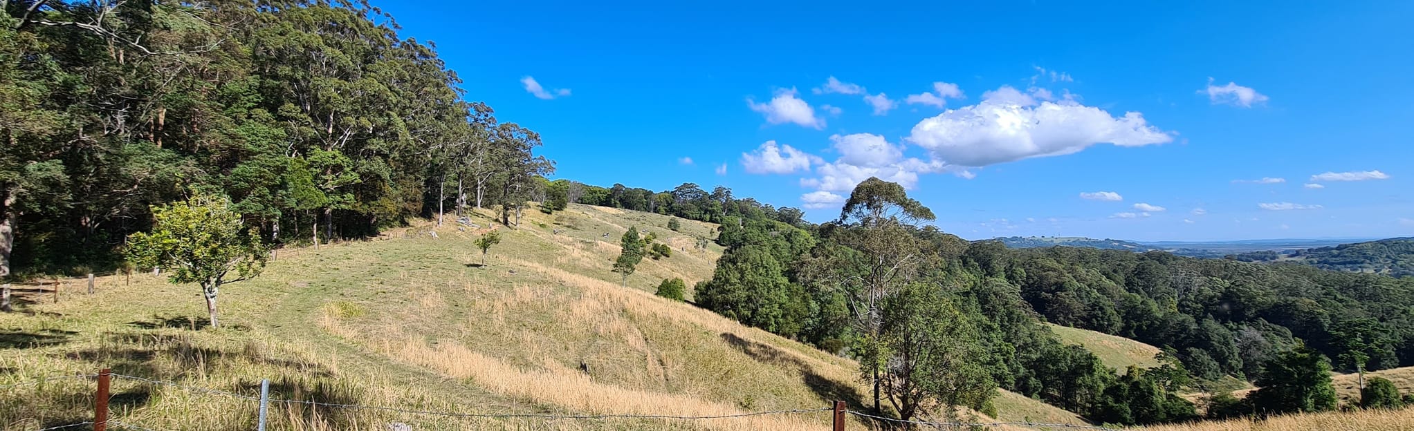 Uralba MTB Circuit: 1 Reviews, Map - New South Wales, Australia | AllTrails