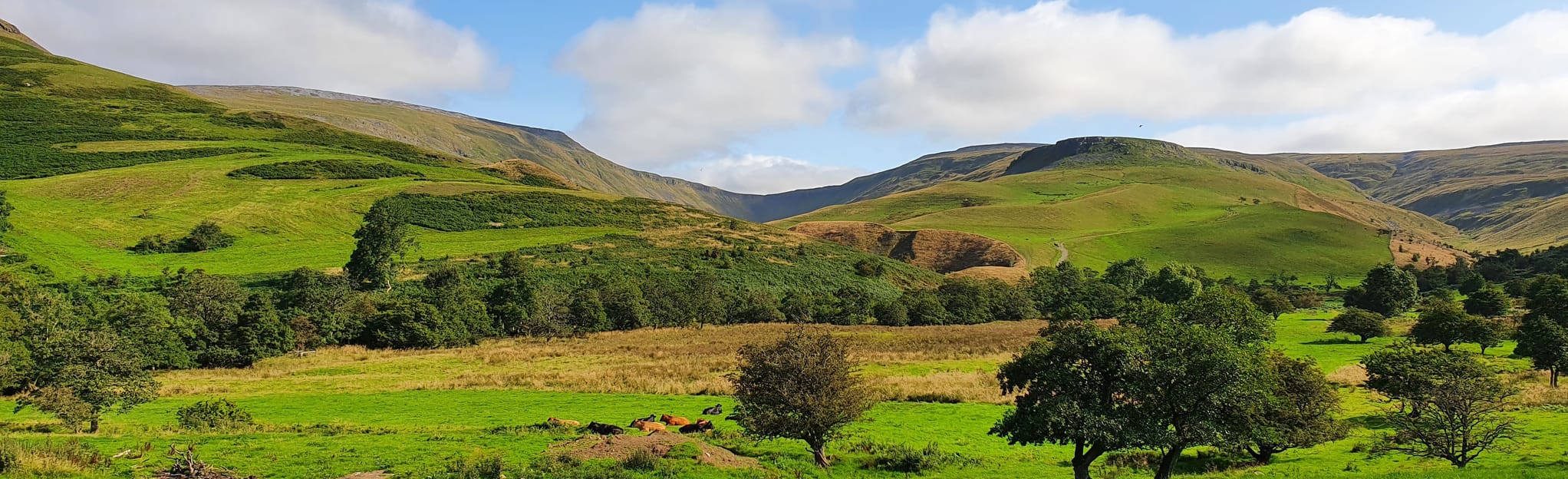 High Cup Nick and Peeping Hill Circular, Cumbria, England - 284 Reviews ...