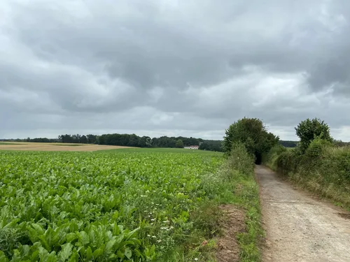 2023 Best Moderate Trails in Lasne | AllTrails