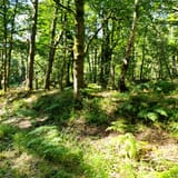 Forest of Dean Family Cycle Route, Gloucestershire, England - 194 ...