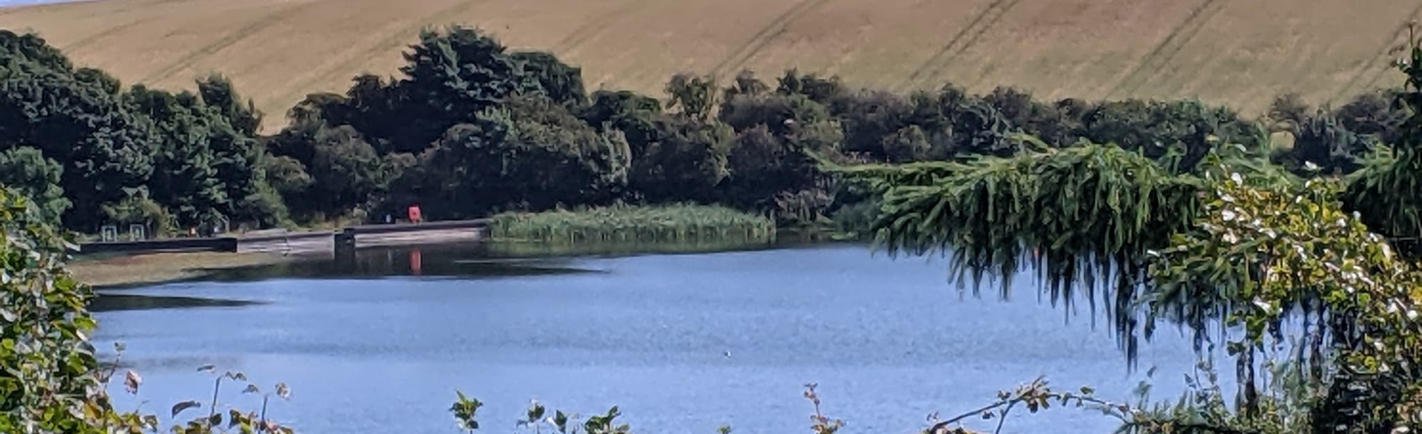 Kinghorn Loch and Rodan Braes Circular, Fife, Scotland - 18 Reviews ...