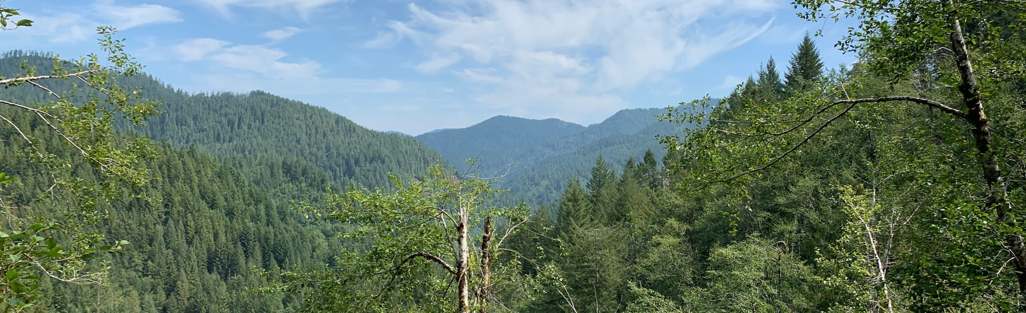 Wilson River Trail - Footbridge Trailhead Westward toward Keenig Creek ...