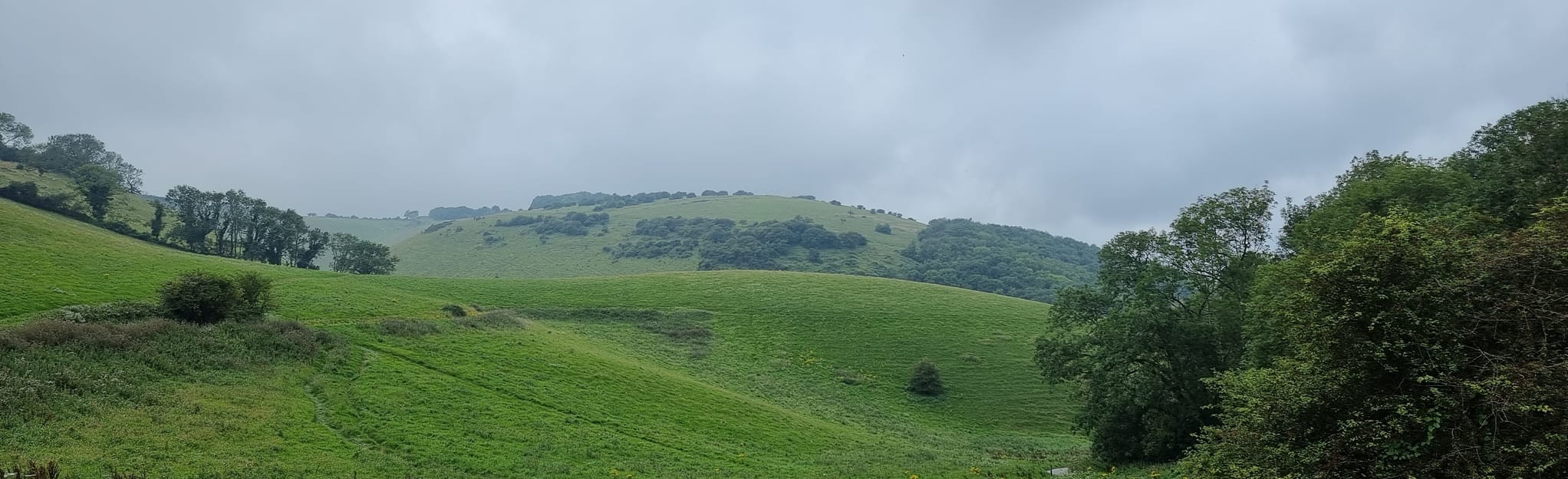 Devils Dyke and Saddlescombe Campsite: 31 Reviews, Map - West Sussex ...