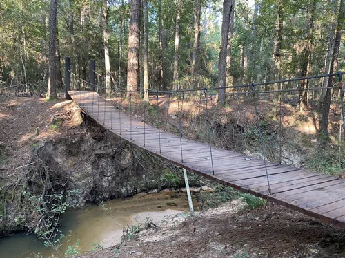 Best Hikes and Trails in Conroe | AllTrails