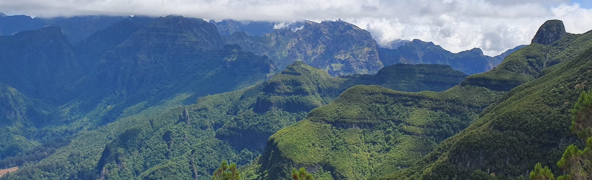 PR17 - Caminho do Pináculo e Folhadal - Bica da Cana, Madeira, Portugal ...
