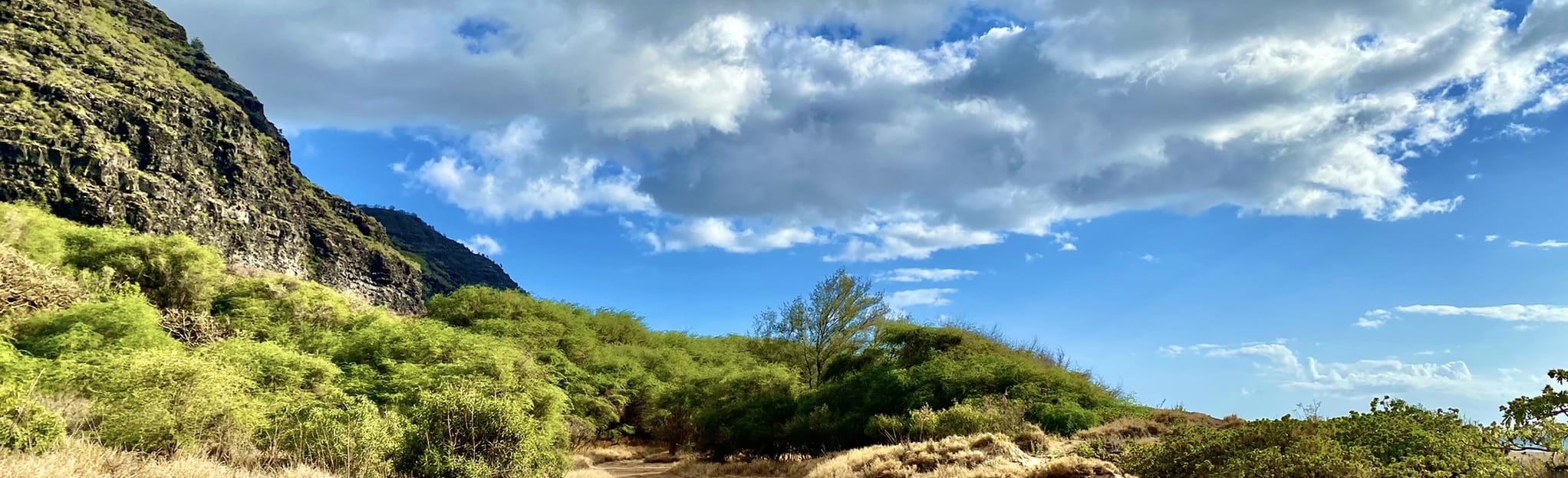 Polihale State Park, Kaua'i, Hawaii - 107 Reviews, Map | AllTrails
