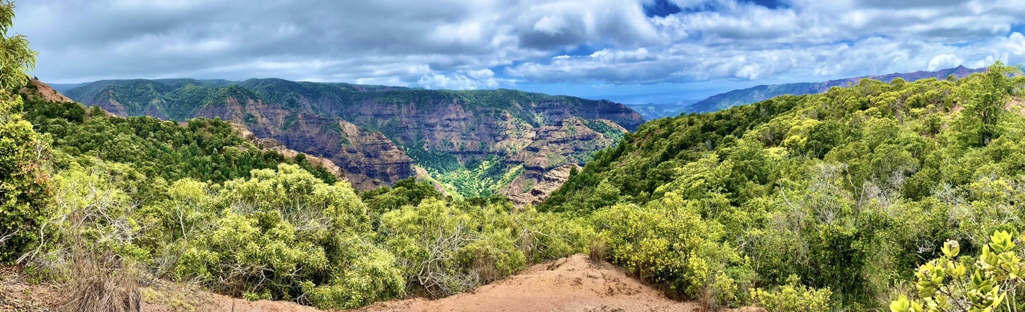 Kohua Ridge Trail: 48 Reviews, Map - Kaua'i, Hawaii | AllTrails