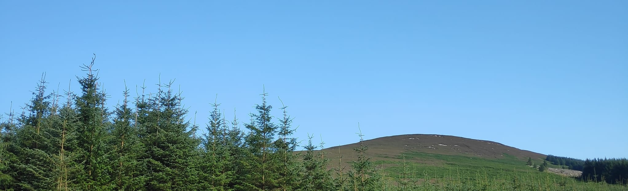 Wicklow Mountains: Cloghleagh Bridge: 35 Reviews, Map - County Wicklow ...