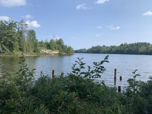 Best Hikes and Trails in McCormick Wilderness | AllTrails