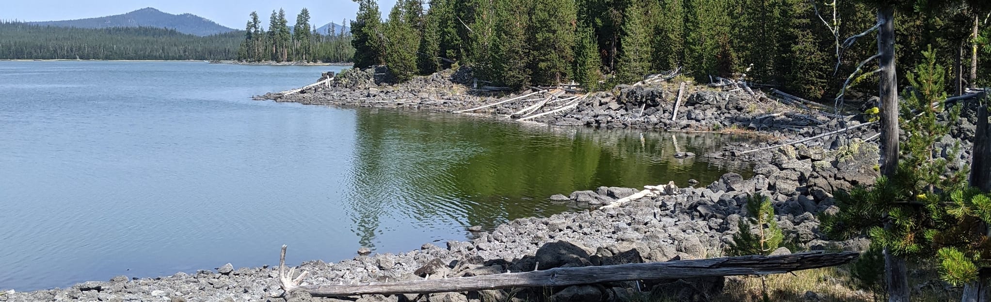 Sparks Lake Trail: 61 Reviews, Map - Oregon | AllTrails