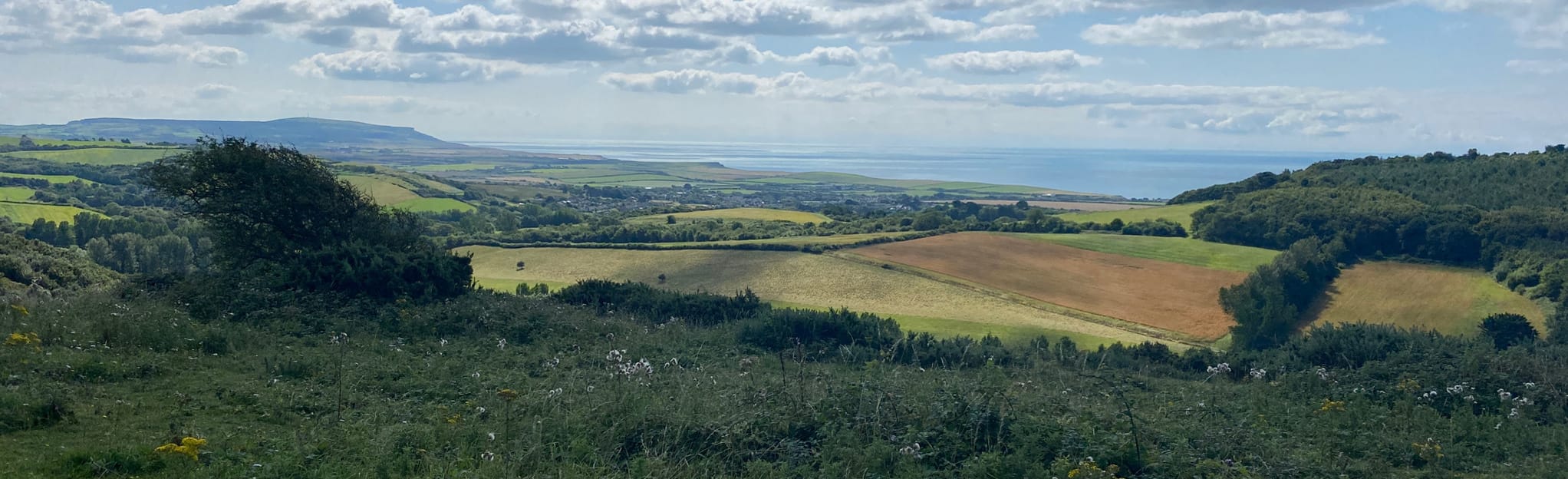 Calbourne and Swainston Landscape Walk, Isle of Wight, England - 6 ...