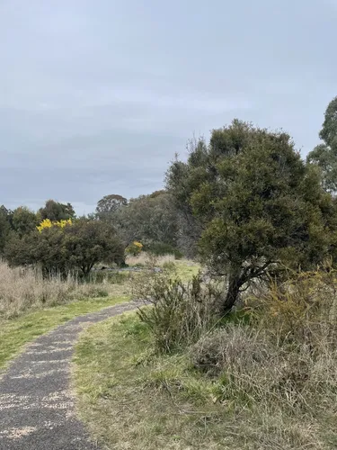 Best Hikes and Trails in Jerrabomberra Wetlands Nature Reserve | AllTrails