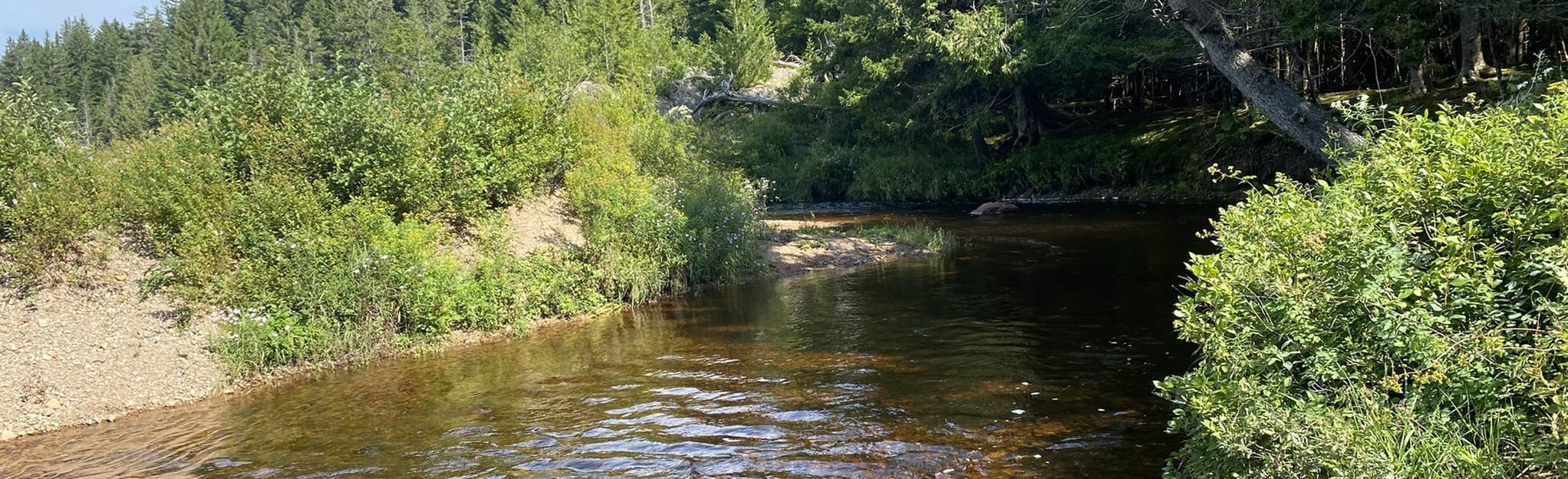 Keyhole Falls Trail, New Brunswick, Canada - 25 Reviews, Map | AllTrails