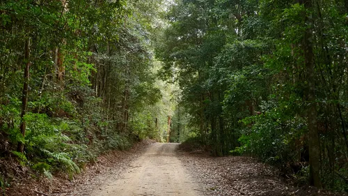 Best Walking Trails in Jilliby State Conservation Area | AllTrails