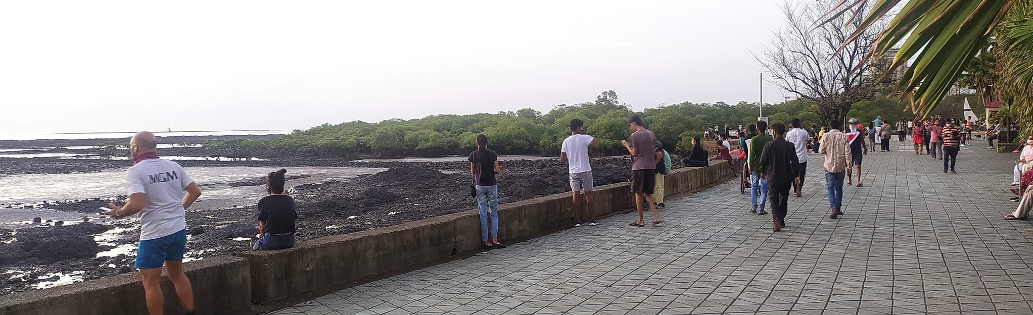 Carter Road Beach, Maharashtra, India - 21 Reviews, Map | AllTrails