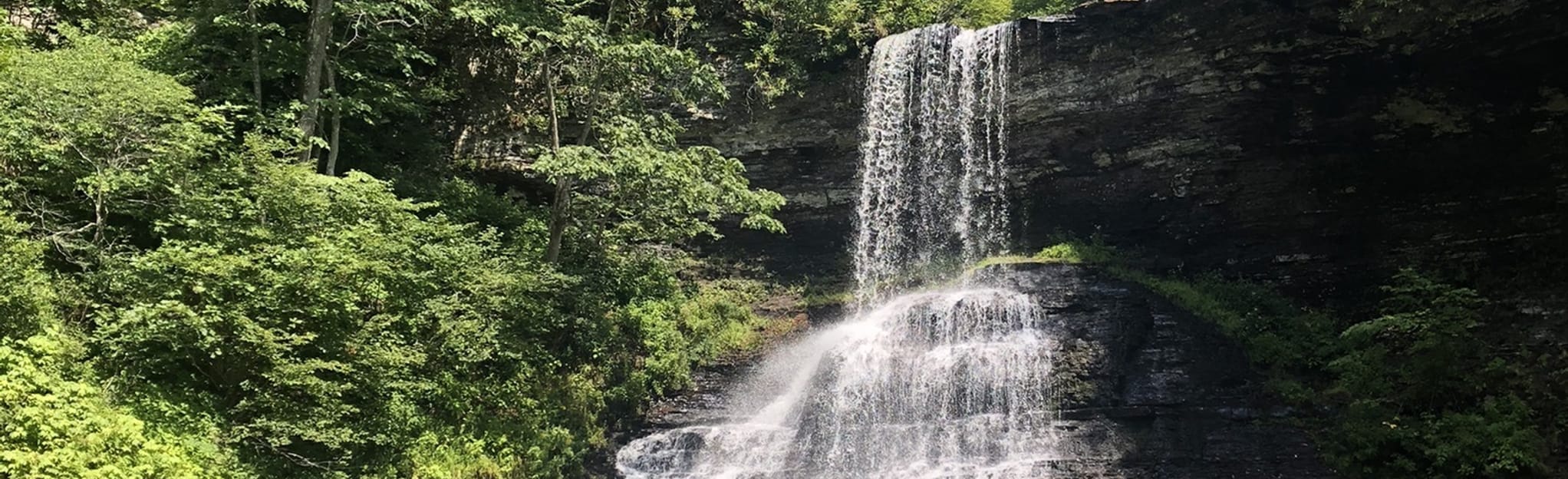 Cascades National Recreation Trail to Barney's Wall: 389 Reviews, Map ...