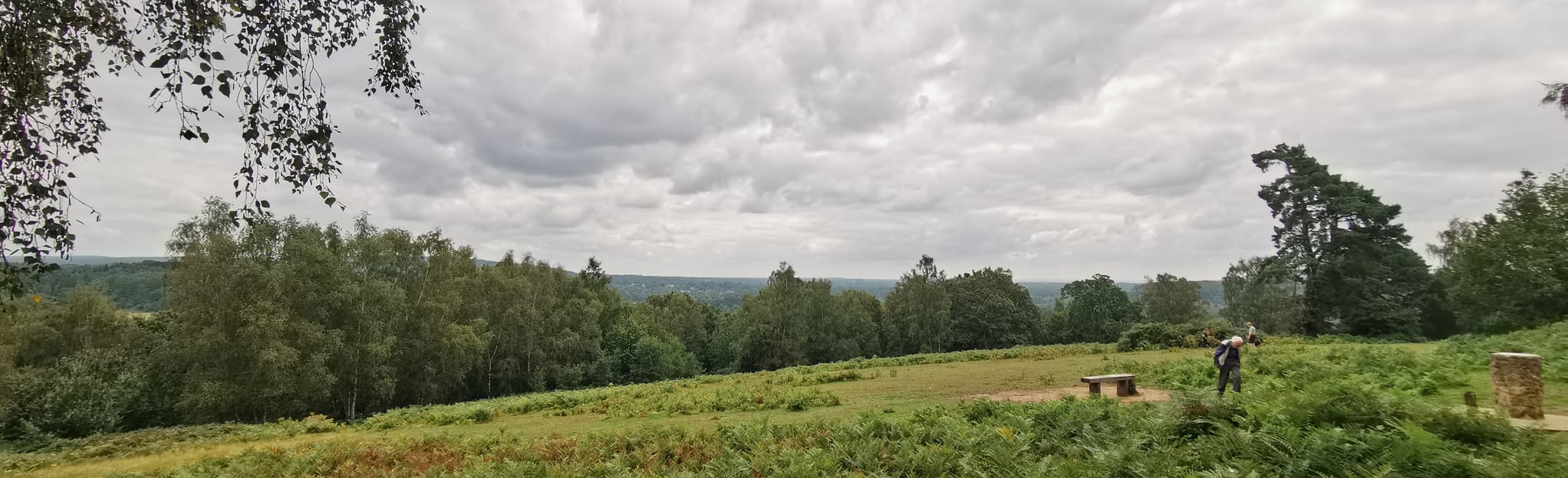 Chinthurst Hill and The Grantley Arms Circular: 123 Reviews, Map ...