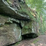 Beckwith Point Trail, Tennessee - 156 Reviews, Map | AllTrails