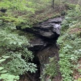 Beckwith Point Trail, Tennessee - 156 Reviews, Map | AllTrails