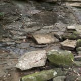 Beckwith Point Trail, Tennessee - 156 Reviews, Map | AllTrails