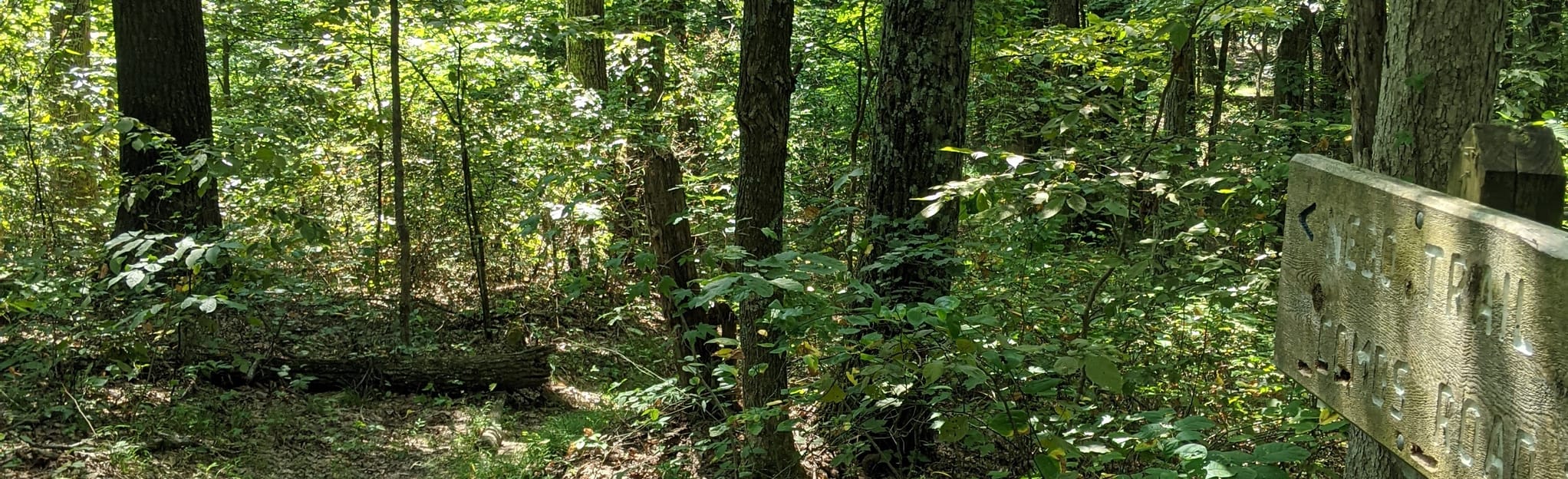 Nebo Ridge Trail: 135 Reviews, Map - Indiana | AllTrails