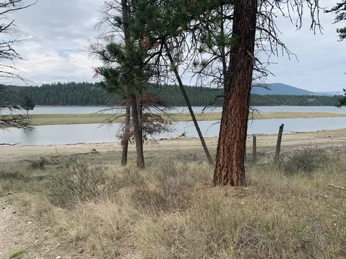 Best Hikes and Trails in Baynes Lake | AllTrails