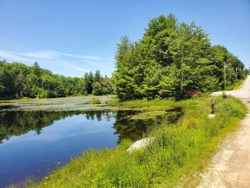 2023 Best Forest Trails in New Boston | AllTrails