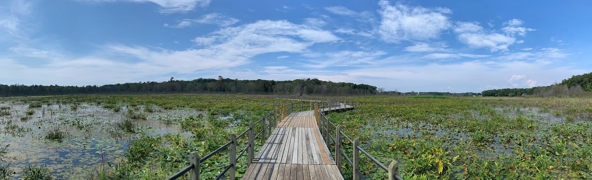 Hofma Preserve Loop: 484 Reviews, Map - Michigan | AllTrails