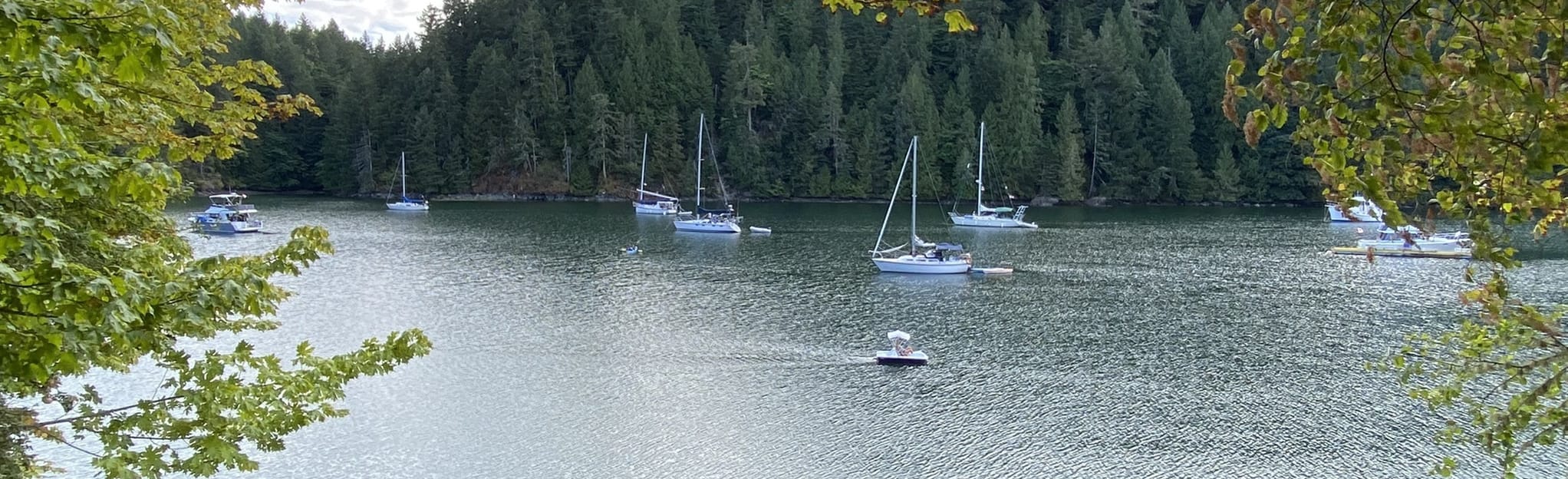 Tod Inlet Trail, British Columbia, Canada - 515 Reviews, Map | AllTrails
