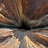 Chicago Stump Trail, California - 73 Reviews, Map | AllTrails