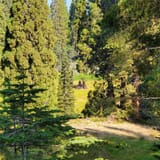 Chicago Stump Trail, California - 73 Reviews, Map | AllTrails