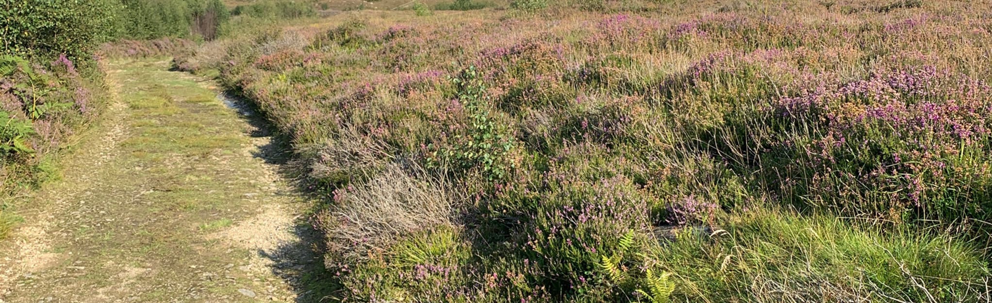 Tarfside to Invermark Path: 0 Reviews, Map - Angus, Scotland | AllTrails