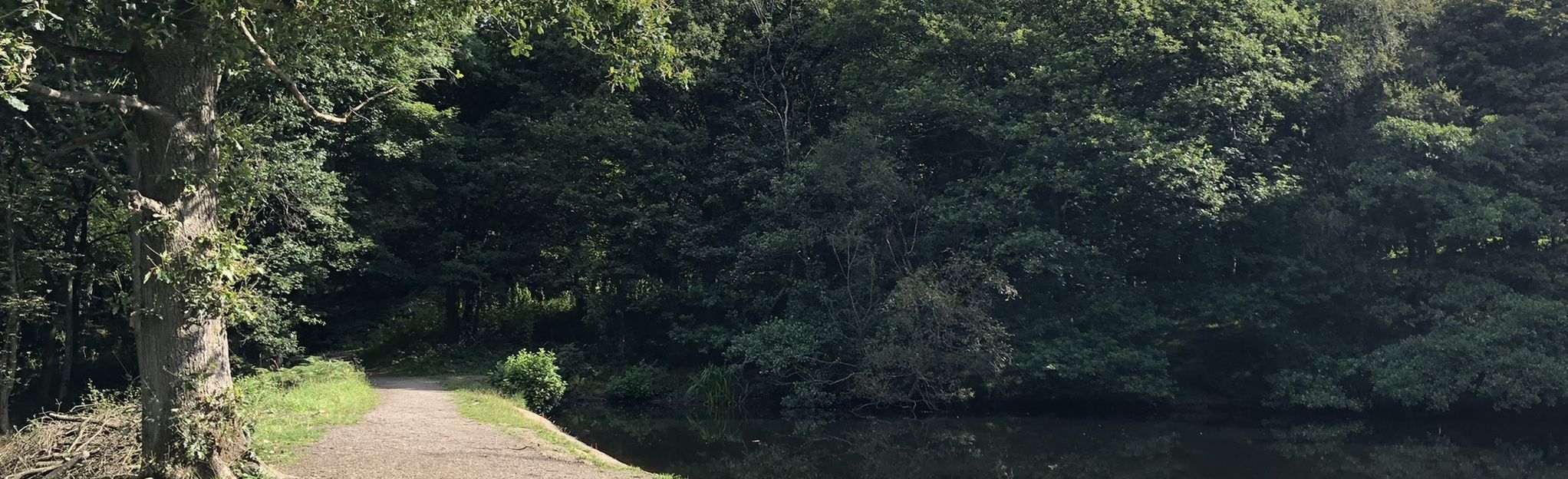Beeley Wood and Wharncliffe Woods, South Yorkshire, England - 21 ...