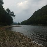 Virginius Island Trail, West Virginia - 203 Reviews, Map | AllTrails