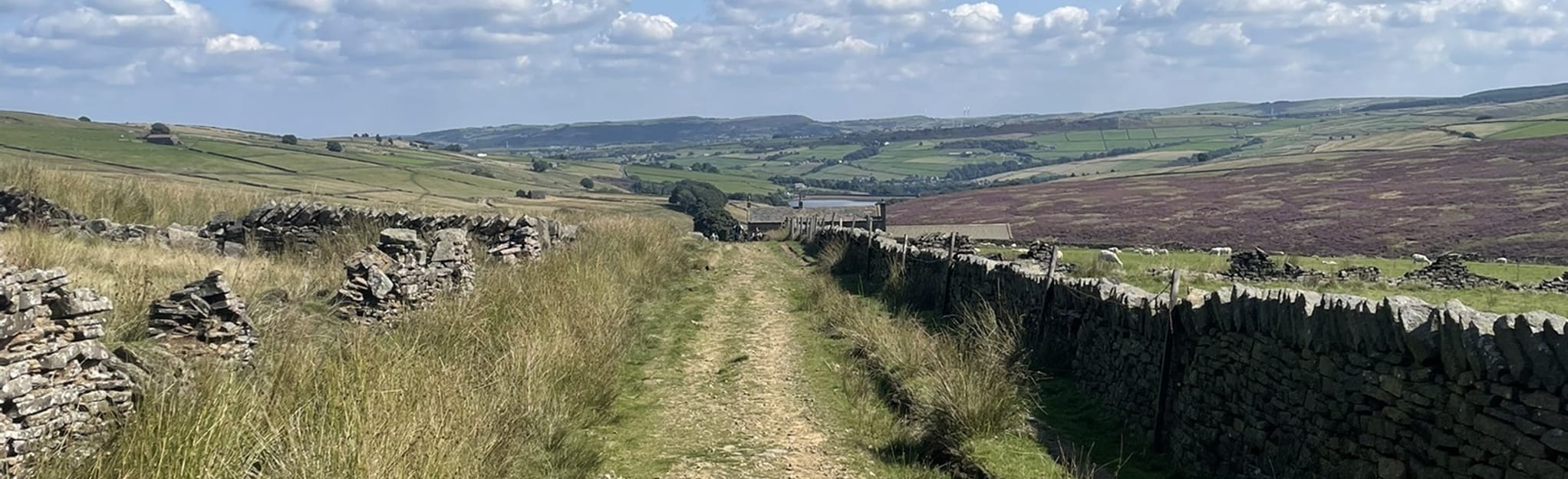 Meltham Moor Circular, West Yorkshire, England - 11 Reviews, Map ...