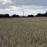 The Viking Way, Lincolnshire, England - 95 Reviews, Map | AllTrails