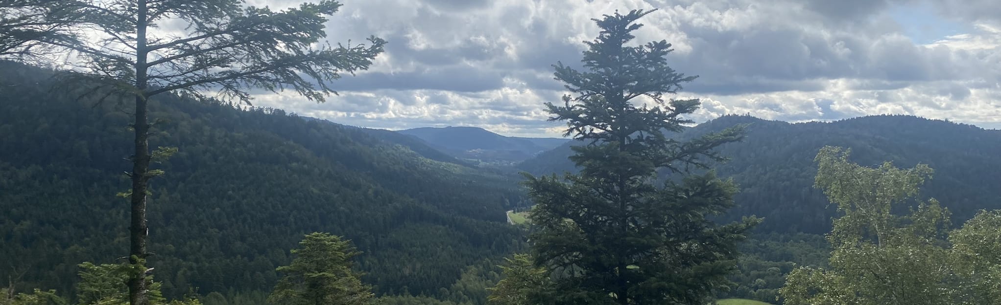 Lac de la Plaine - Forêt de Celles, Vosges, France - 3 Reviews, Map ...