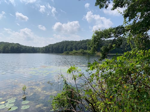 Best Hikes and Trails in Holly State Recreation Area | AllTrails