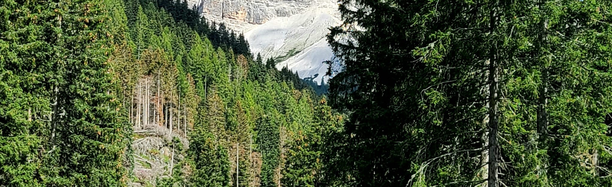 Val Zoldana: Rifugio Col dei Baldi - Spitz Agnellessa: 0 Reviews, Map ...