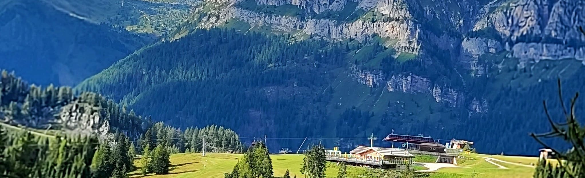 Col dei Baldi - Lago di Coldai: 110 foto's - Veneto, Italy | AllTrails