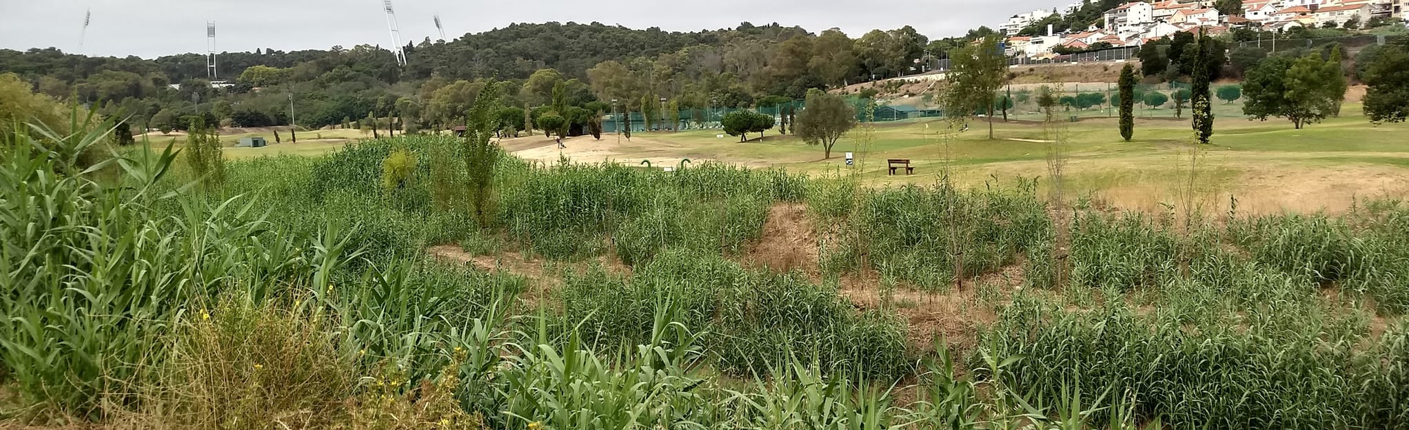 Cruz Quebrada - Santuário de Nossa Senhora da Rocha, Lisbon, Portugal ...