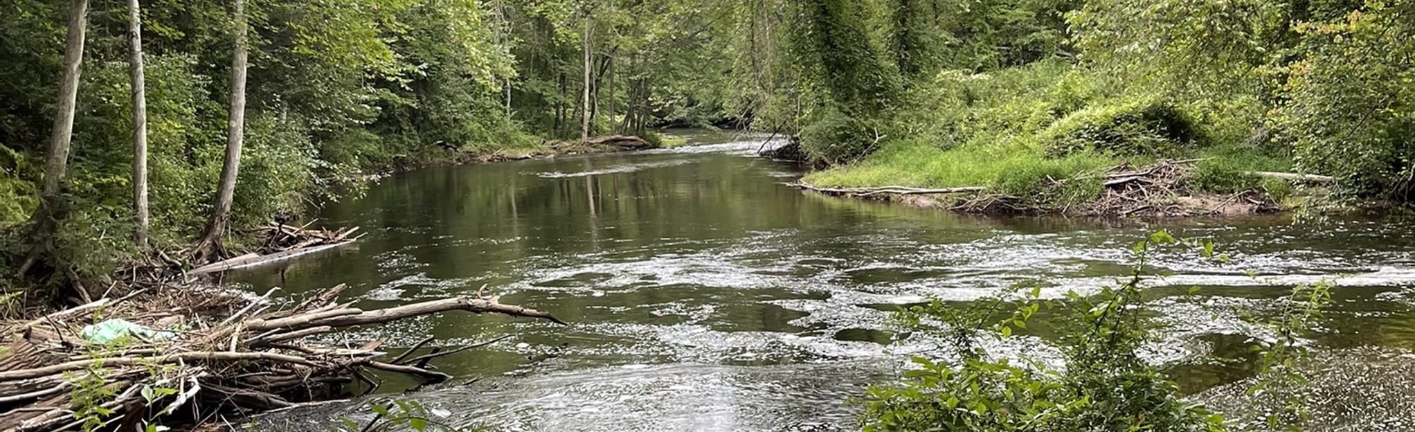 Scantic River Trail, Connecticut - 301 Reviews, Map | AllTrails